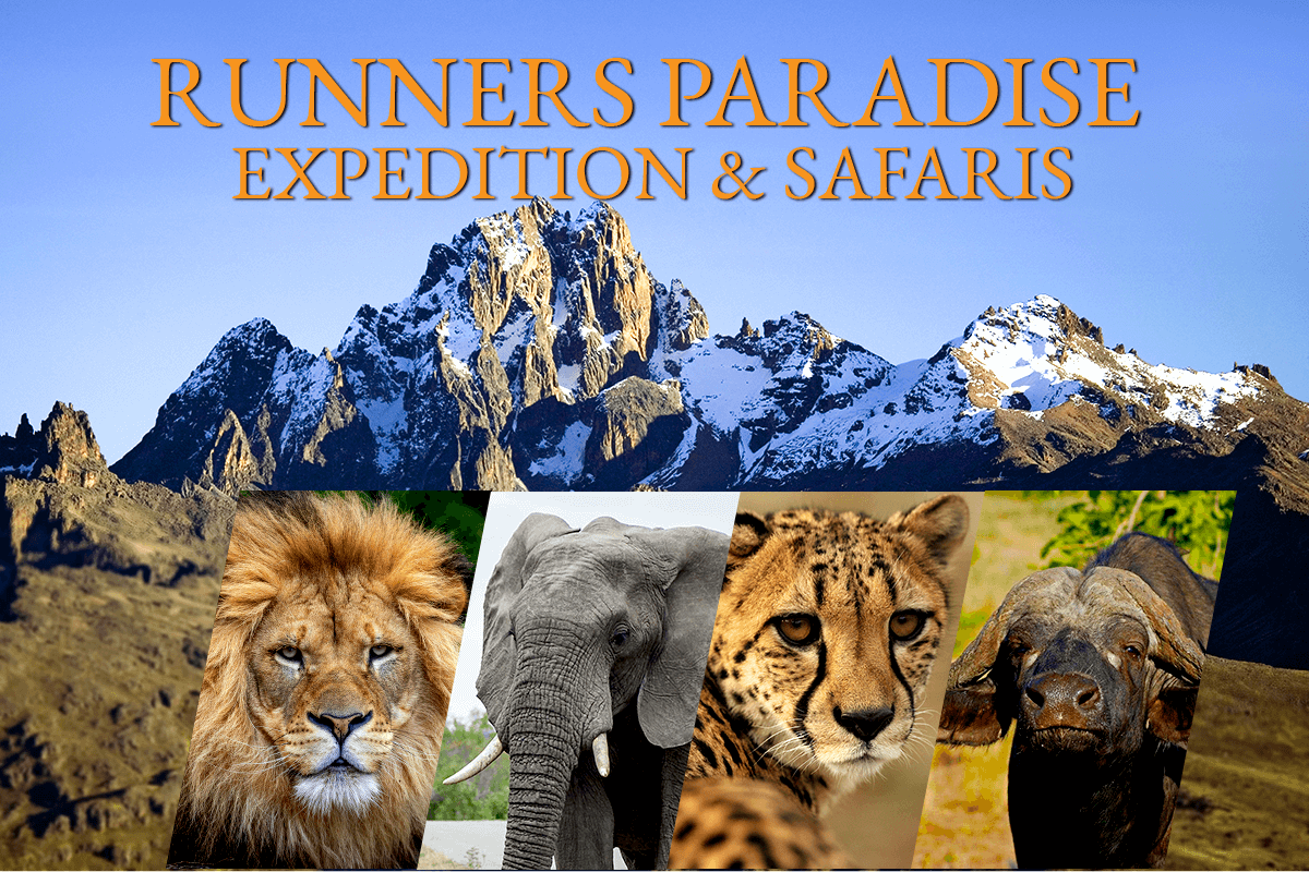 Runners Paradise Safaris – Expeditions & Safaris